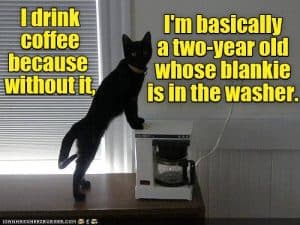 30 Funny Coffee Memes for an LOL Morning Chuckle