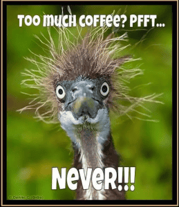 30 Funny Coffee Memes for an LOL Morning Chuckle