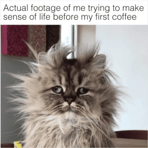 30 Funny Coffee Memes for an LOL Morning Chuckle