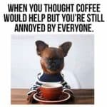 30 Funny Coffee Memes for an LOL Morning Chuckle